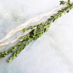 Greenery Bunches – Puckett Fern