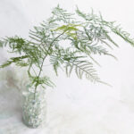 Greenery Bunches – Puckett Fern